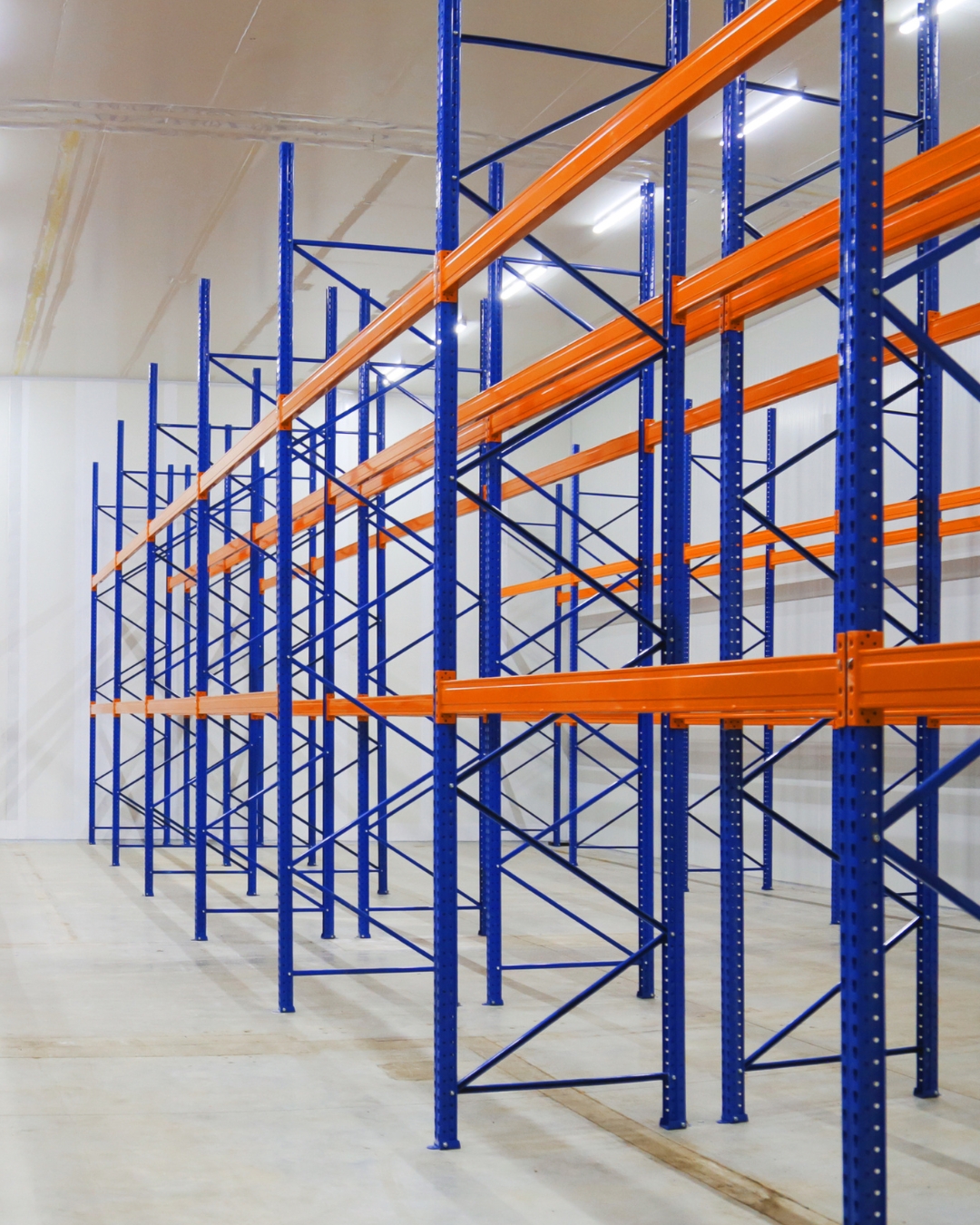 Rack-Mex – Racks Industriales del Centro